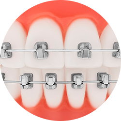 Index of /images/TP-Ortho/
